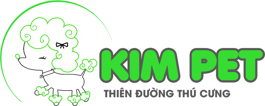 kimpet – Cửa hàng mua bán thú cưng uy tín Bình Phước